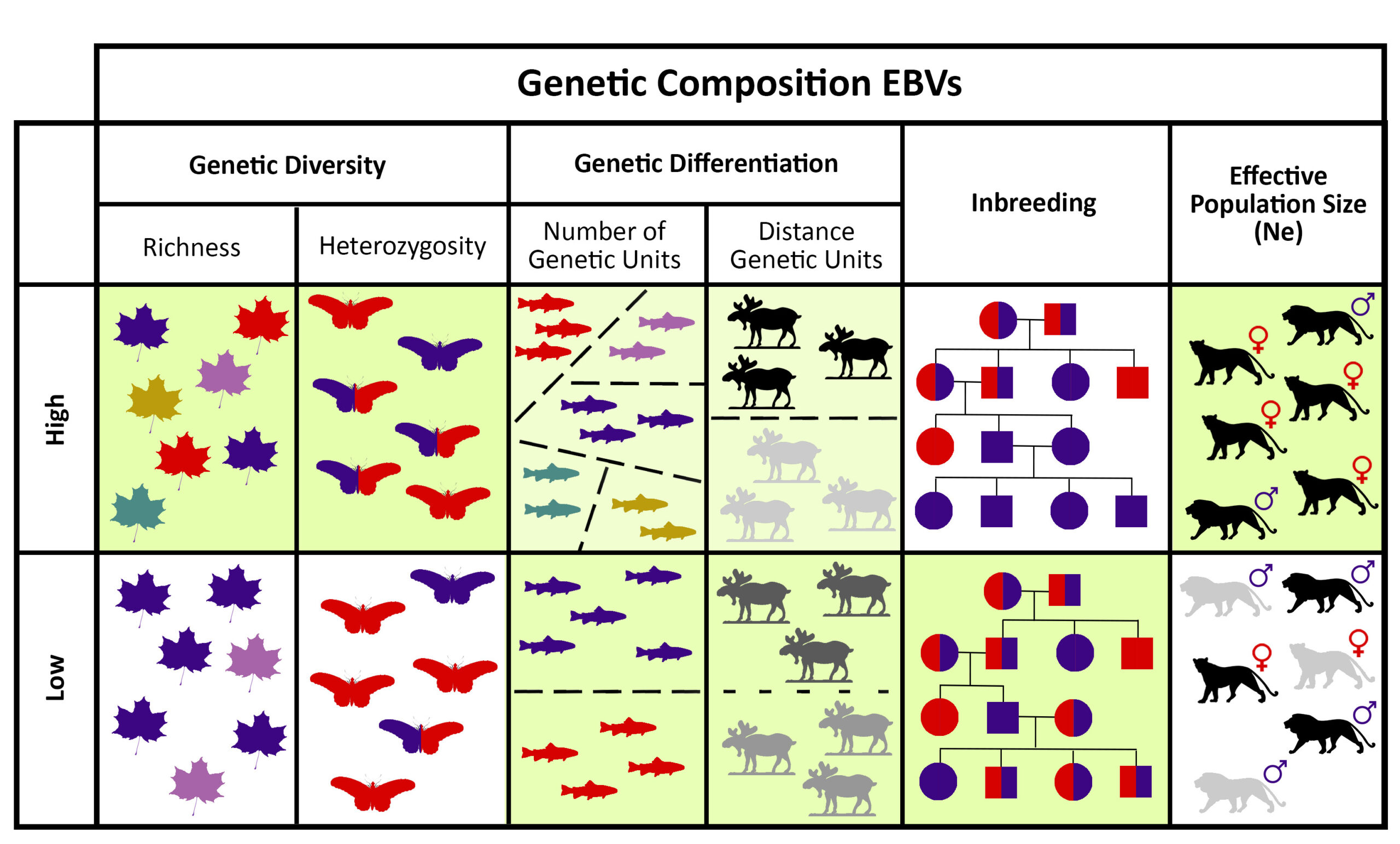 A new article lays out the state of the field for genetic EBVs and ...