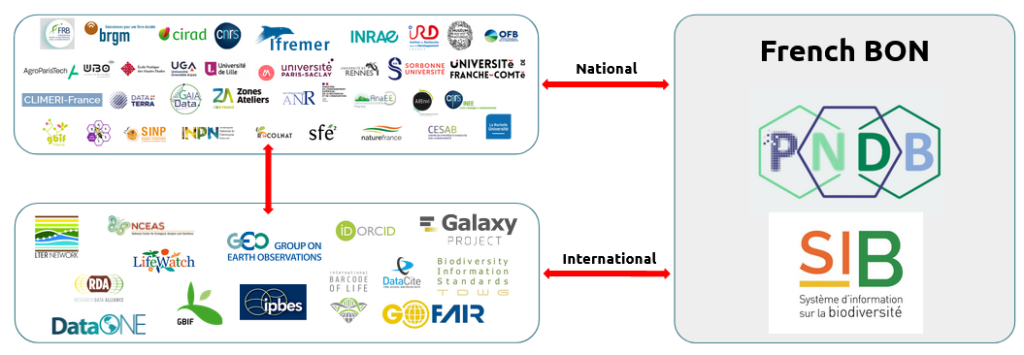 French BON – GEO BON