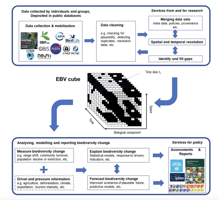 What are EBVs? – GEO BON