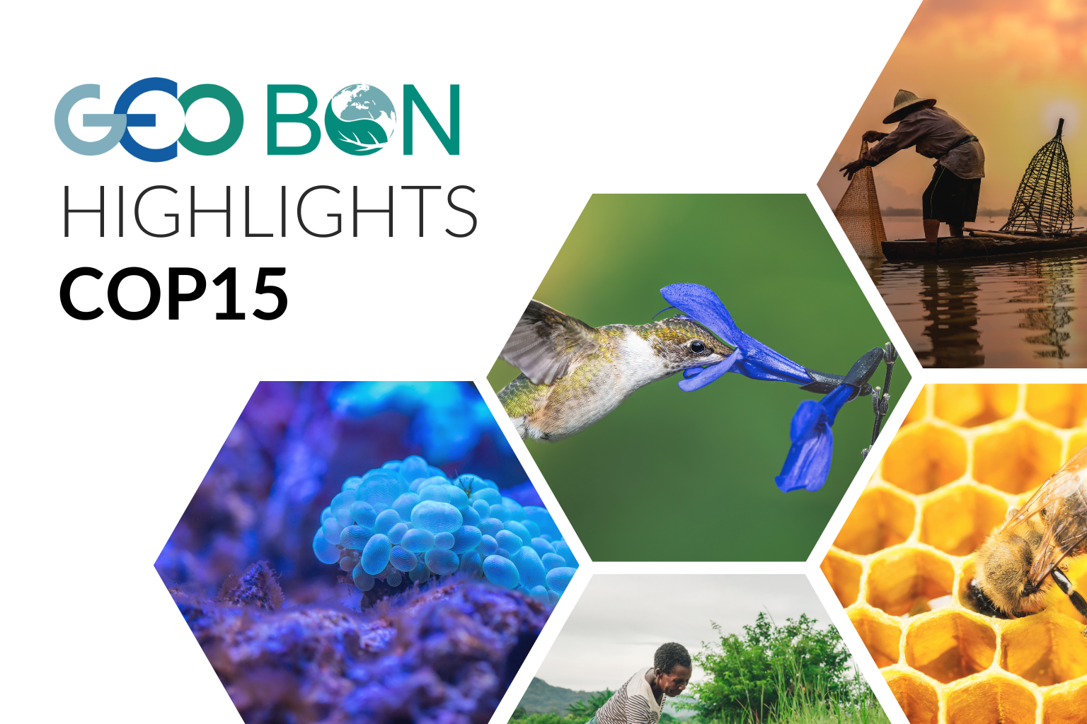 COP15_highlights_image – GEO BON